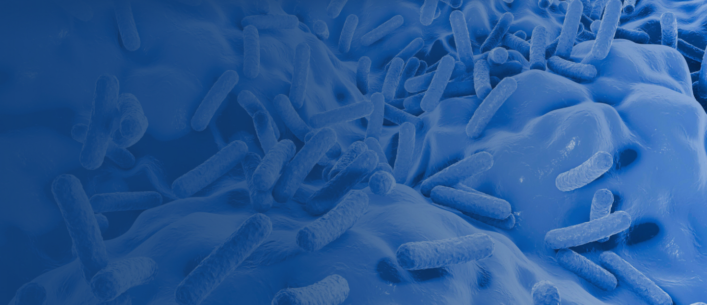 Your Intestine | Get to know it